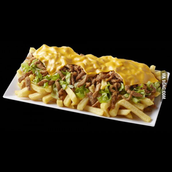 Saw some posts about the best foods: the Dutch Kapsalon - 9GAG