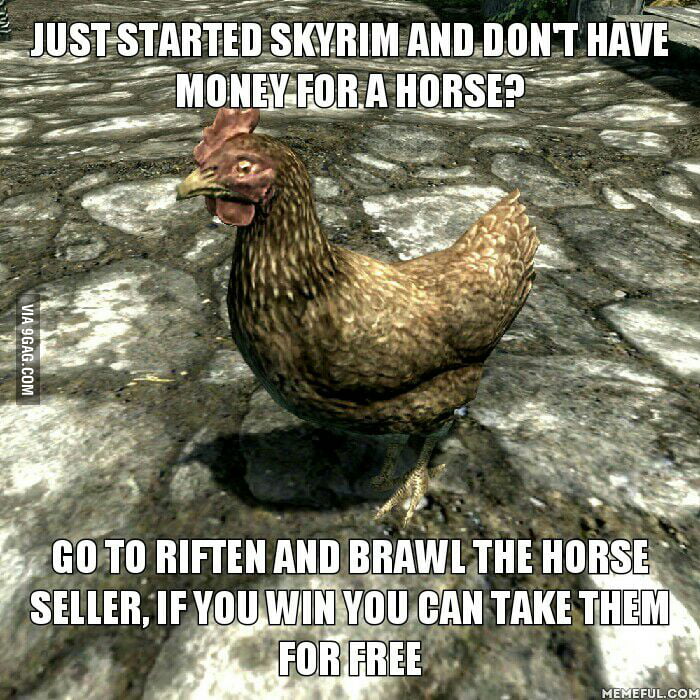 Another actual Skyrim advice chicken - 9GAG