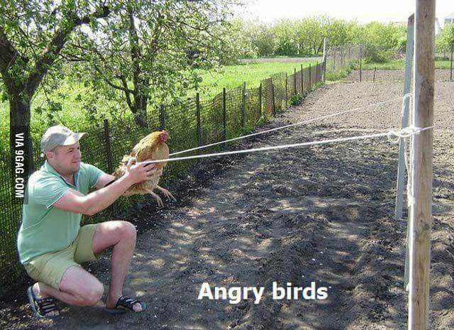 Redneck angry birds - 9GAG