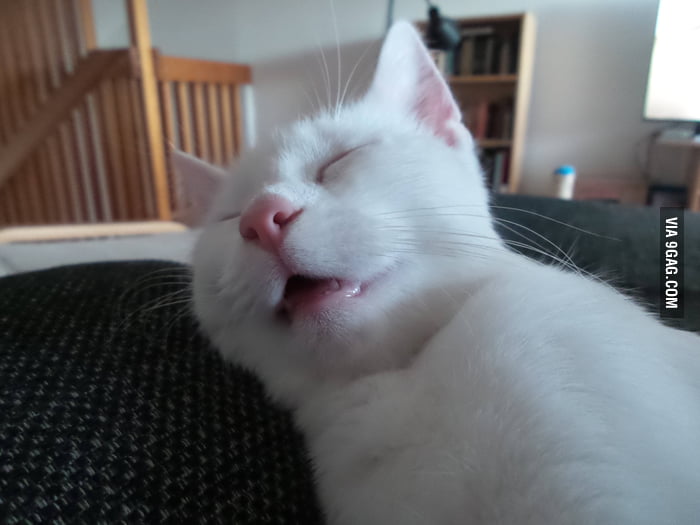 She's not the most attractive sleeper... - 9GAG