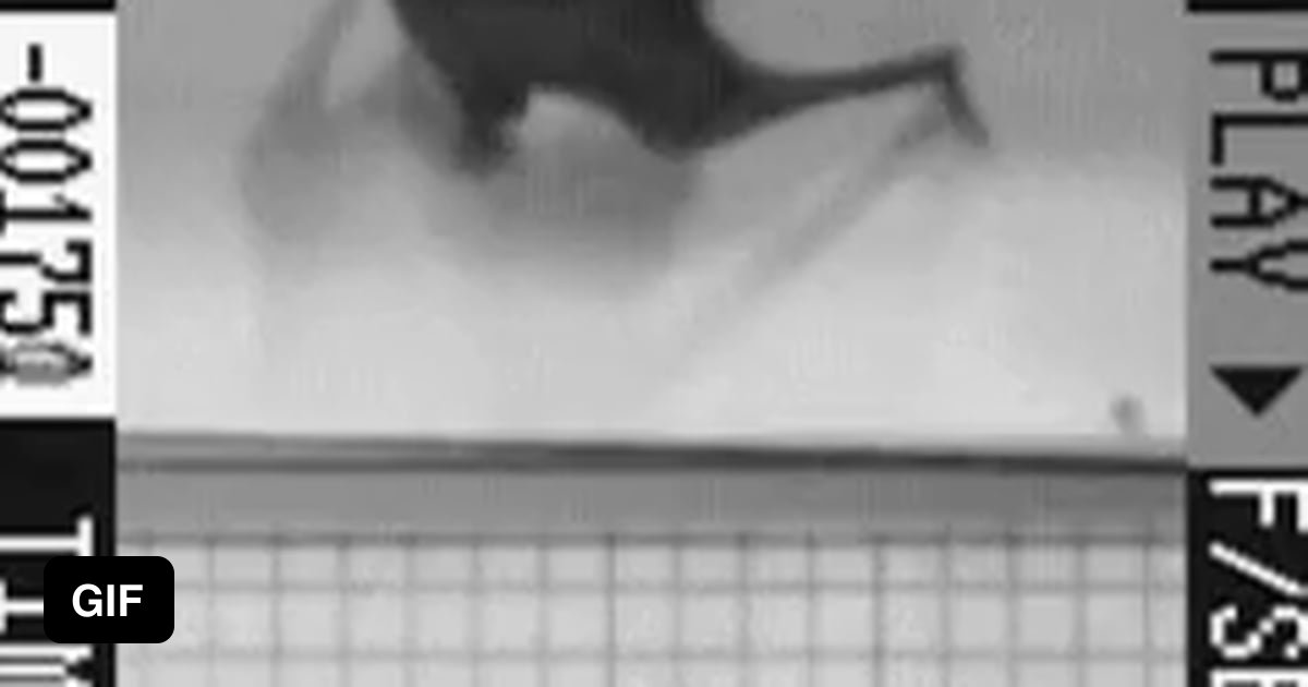 Out of 1,300 known bat species, only one is able to run. The Vampire ...