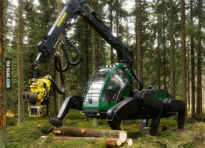 Real life walker - 9GAG