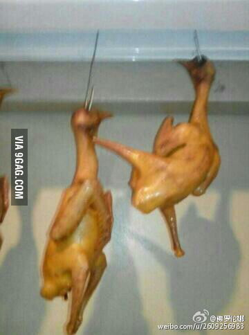 Bruce Lee chicken: "Wah taaaah!" - 9GAG