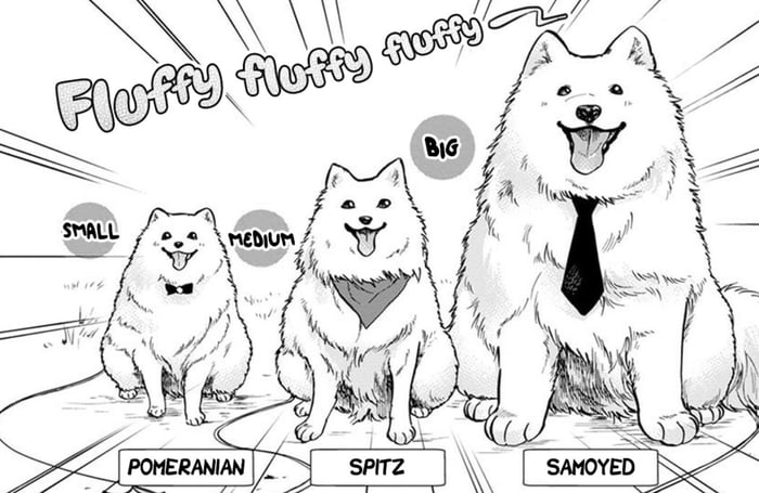 When you're more fluff than doggo - 9GAG