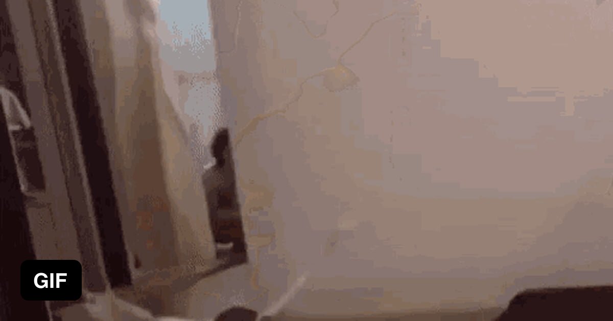 That majestic glide - 9GAG