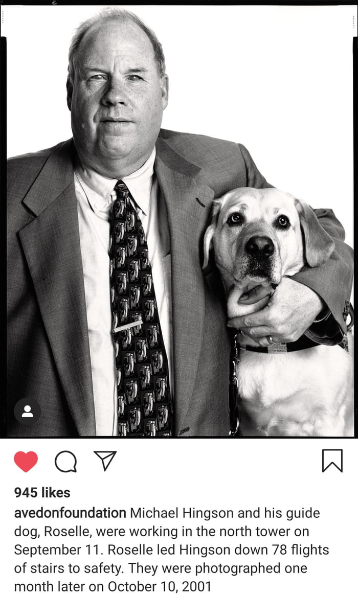 Guide dog, Roselle, lead it's blind master, Michael Hingson down 78 ...