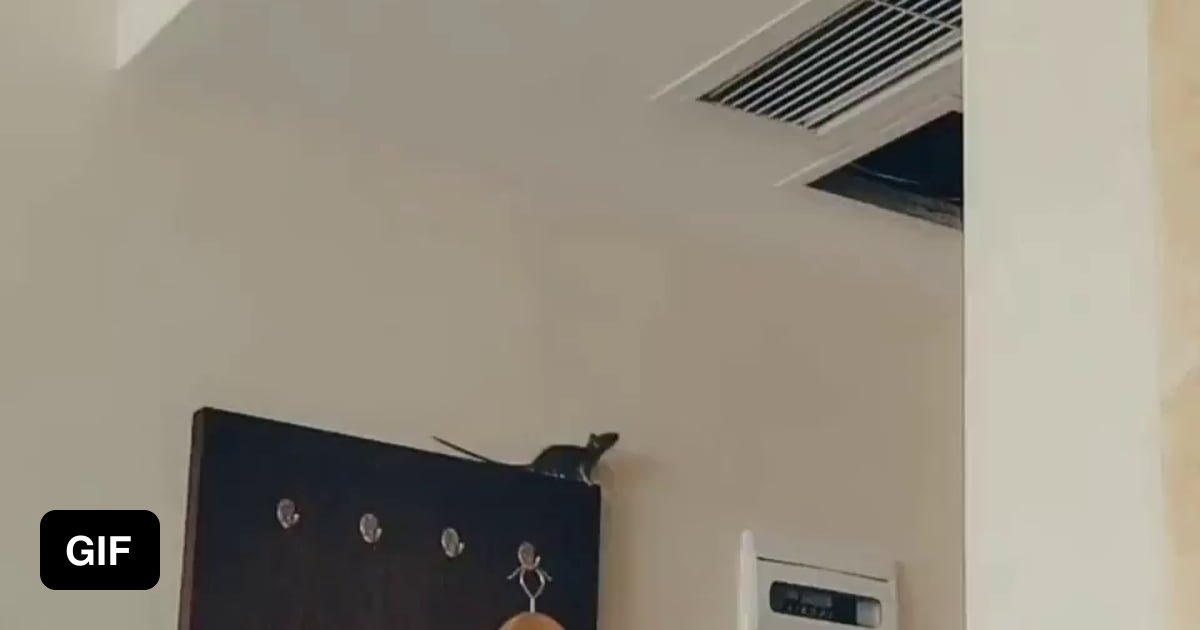 To enter a ceiling. - 9GAG