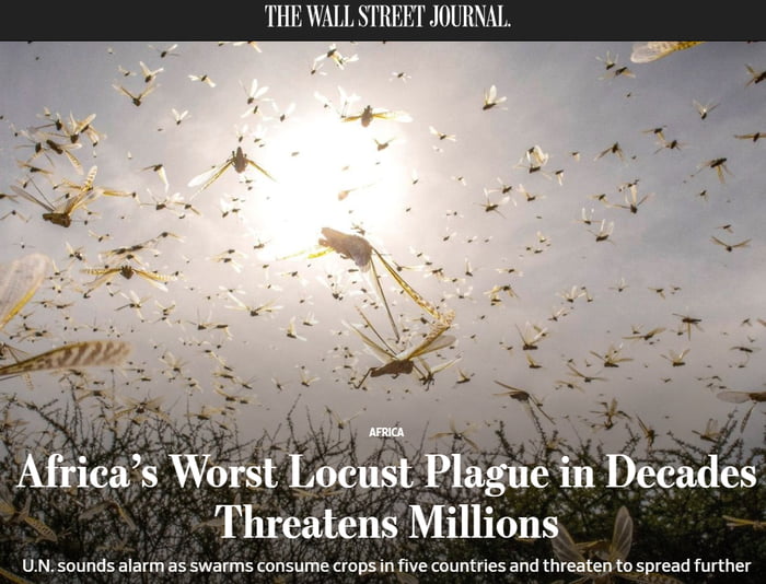 Australian fires.. Corona-virus, cricket plague? We have angered the ...