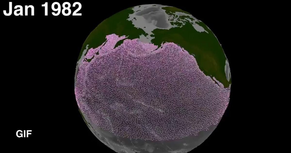 Ocean model simulation of the Great Pacific Trash Vortex (a gyre of ...