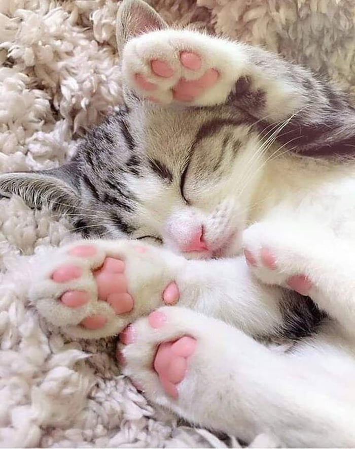 Pink toe beans - 9GAG