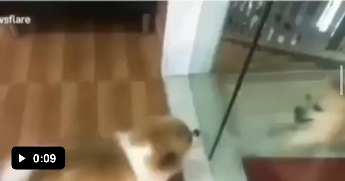 When Internet Warriors meet in real life - 9GAG