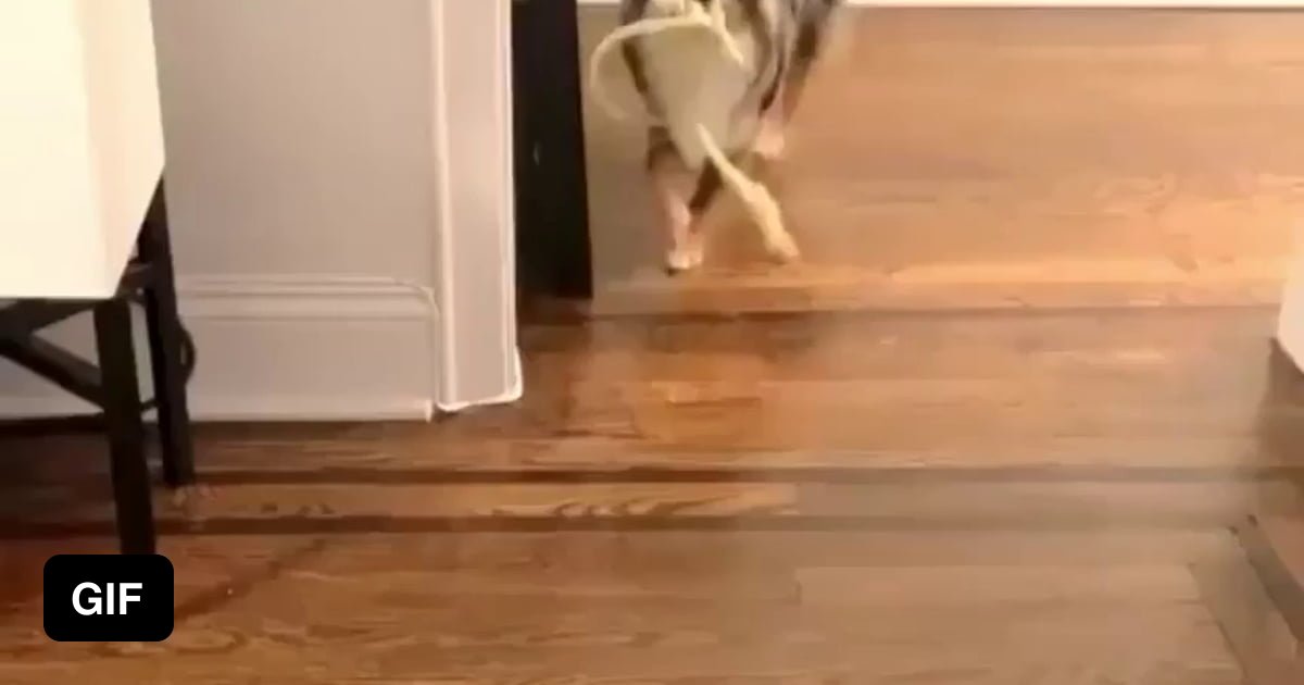 Rope... Rope... Rope rope rope. - 9GAG