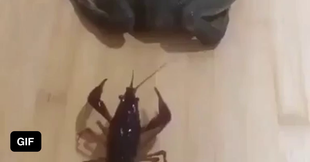 To infinity and beyond - 9GAG