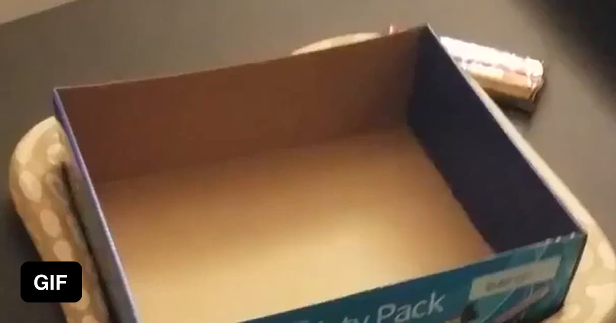 Magic moving box - 9GAG