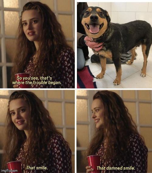 Getting our first own dog saturday from the shelter and i already fell ...