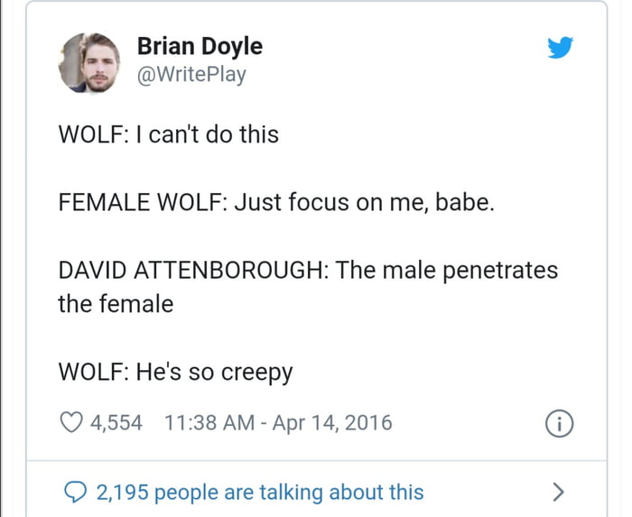 Wolf - 9GAG