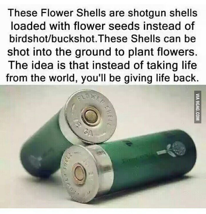 I love these flower shells:) - 9GAG