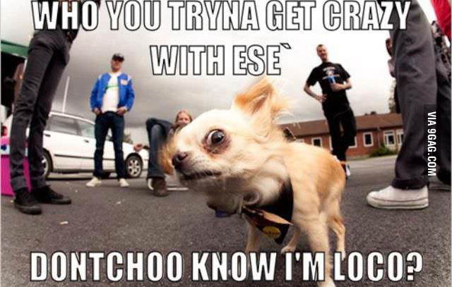 He's LOCO ese!!! - 9GAG