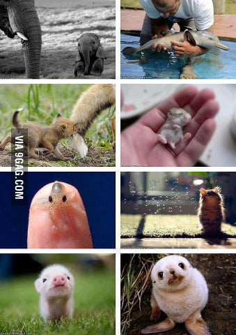 Awww ♥ That's SO cute! - 9GAG