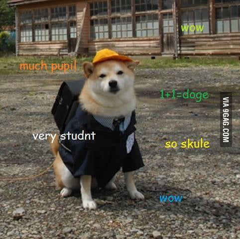 Smart Doge - 9GAG