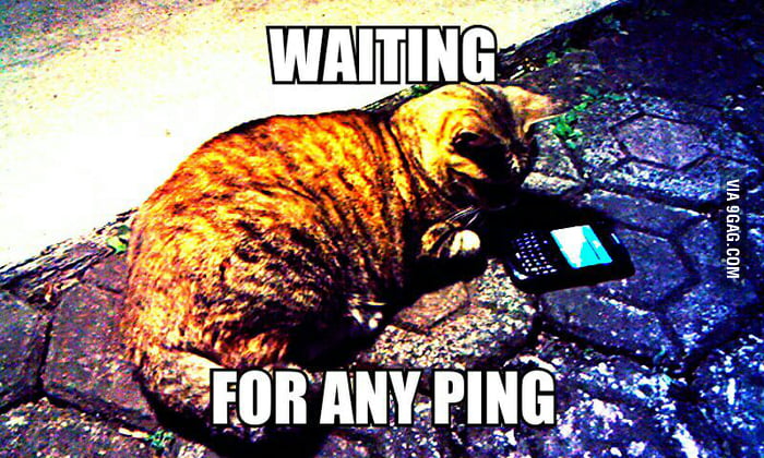 Waiting for any ping - 9GAG