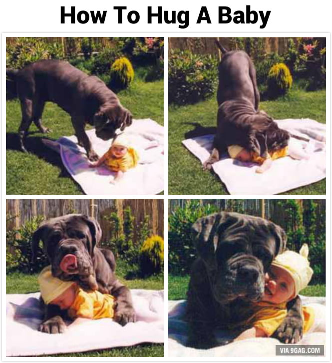 How To Hug A Baby - 9GAG