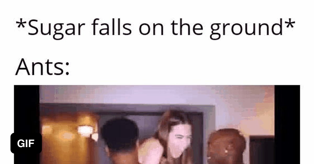 Riley Reid. You're welcome. *fly away - 9GAG