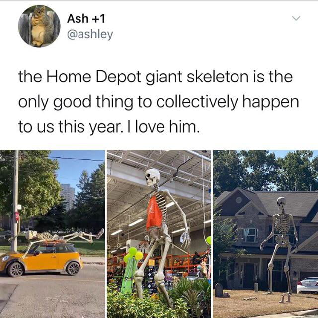 Wholesome skeleton - 9GAG