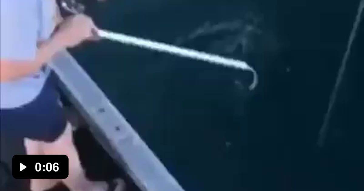 American Fishing - 9GAG