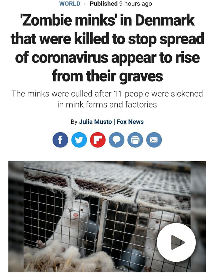 Who got Zombie minks for December? - 9GAG