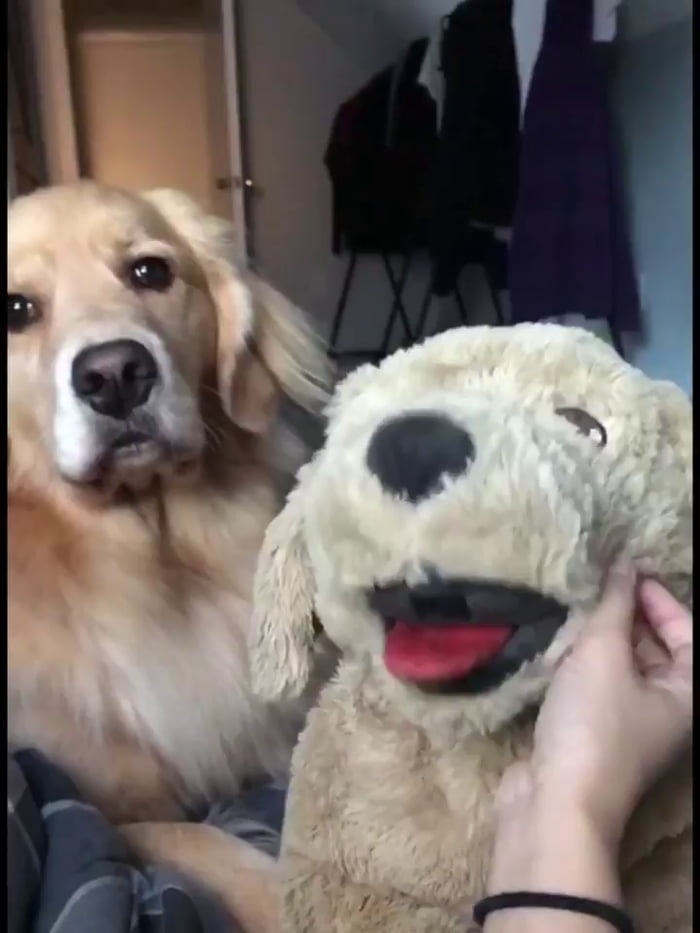 You little hussy - 9GAG