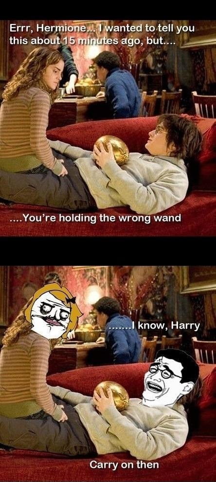 You're a jizzard Harry - 9GAG