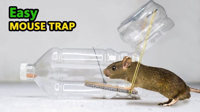 Plastic bottle mouse trap - 9GAG