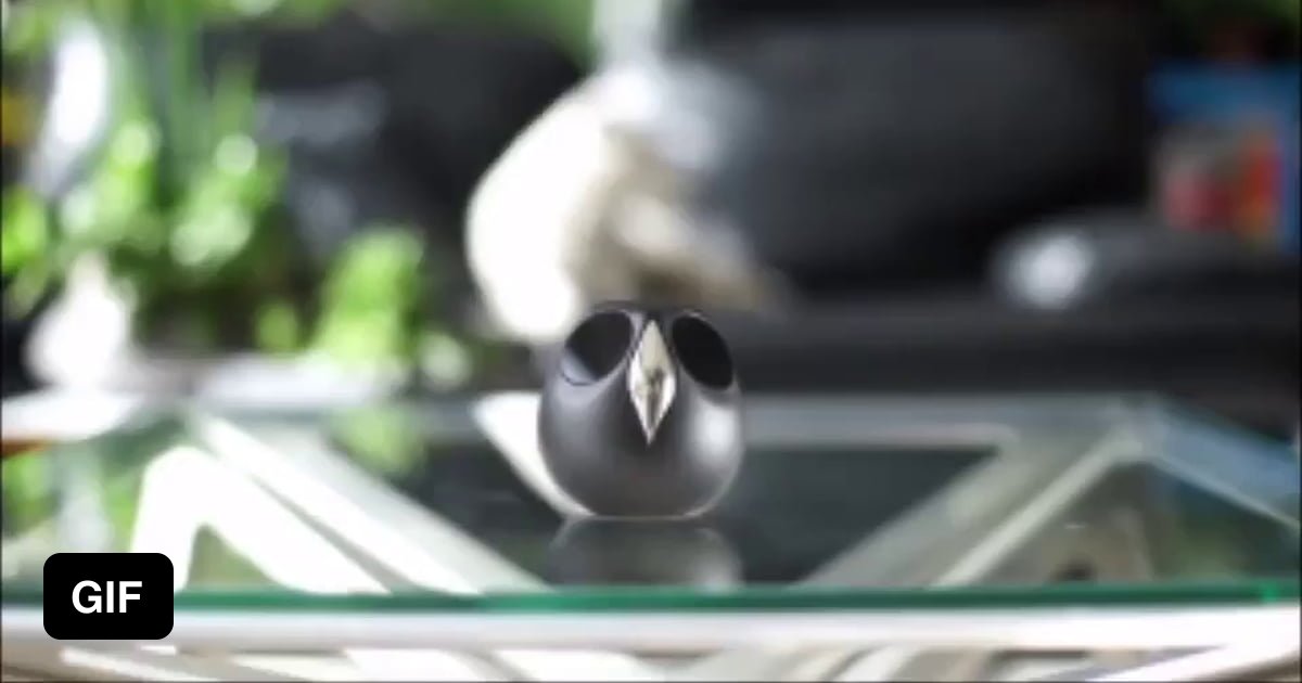 Super cute owl smart camera - 9GAG