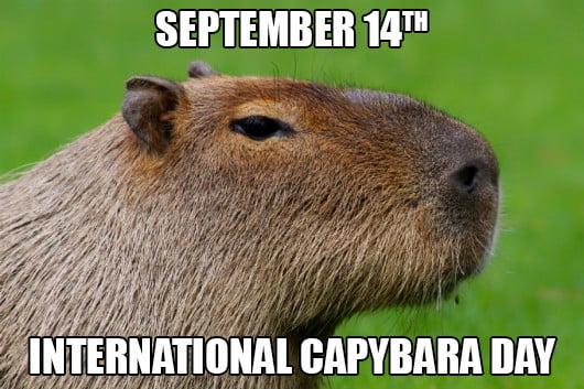 Happy capybara day! - 9GAG