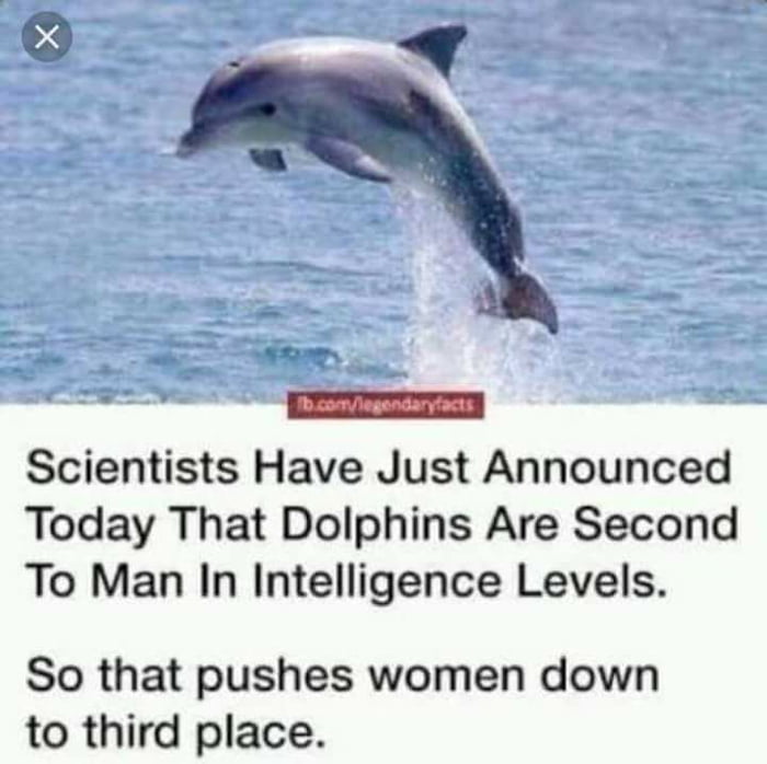 Bad luck women.... - 9GAG