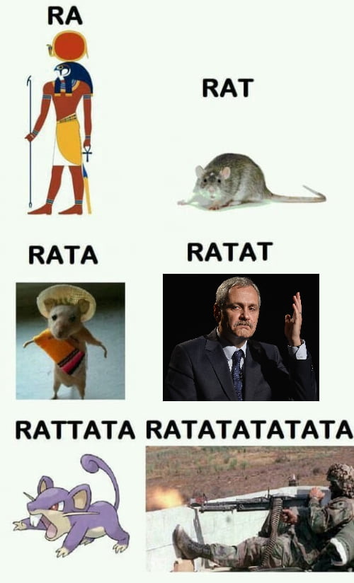 Ra rat rata - 9GAG