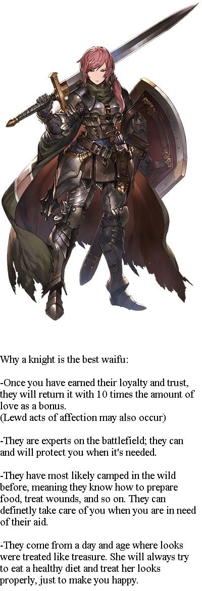 Get yourself a knight waifu. - 9GAG
