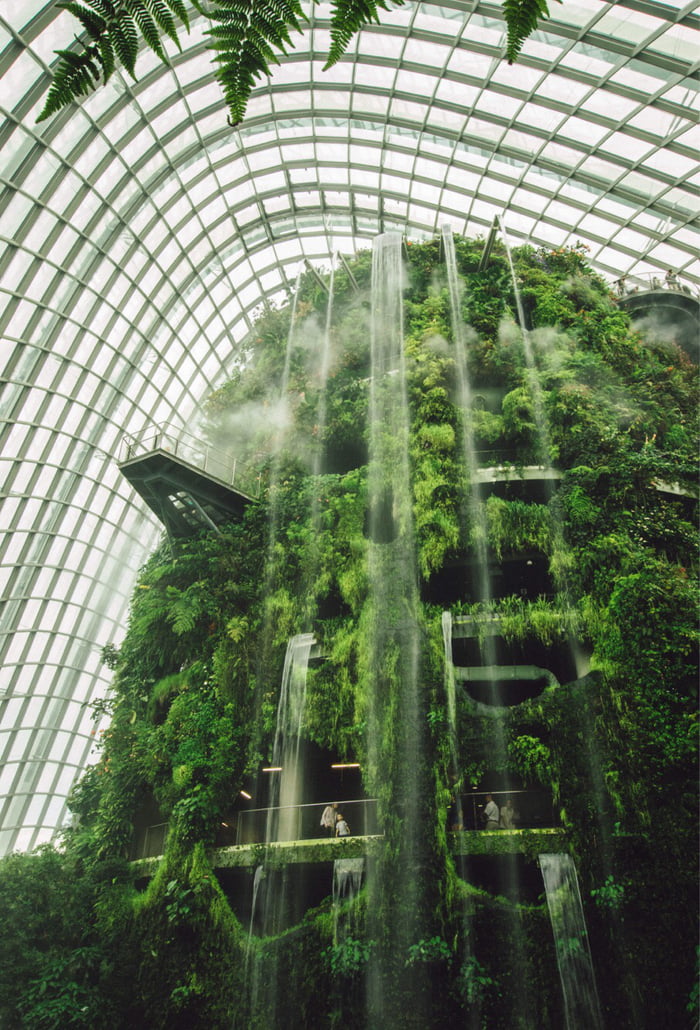 Cloud forest in singapore, what a beauty - 9GAG