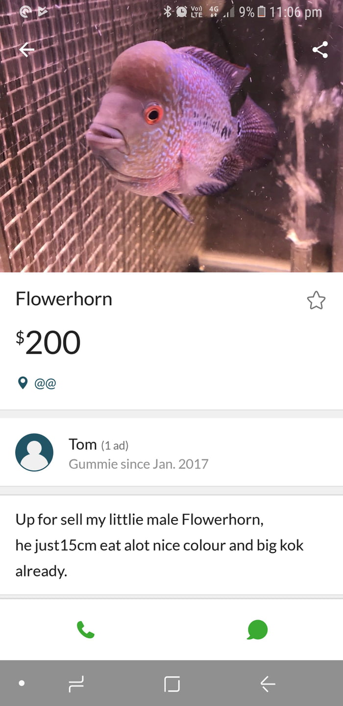 Porn star fish - 9GAG