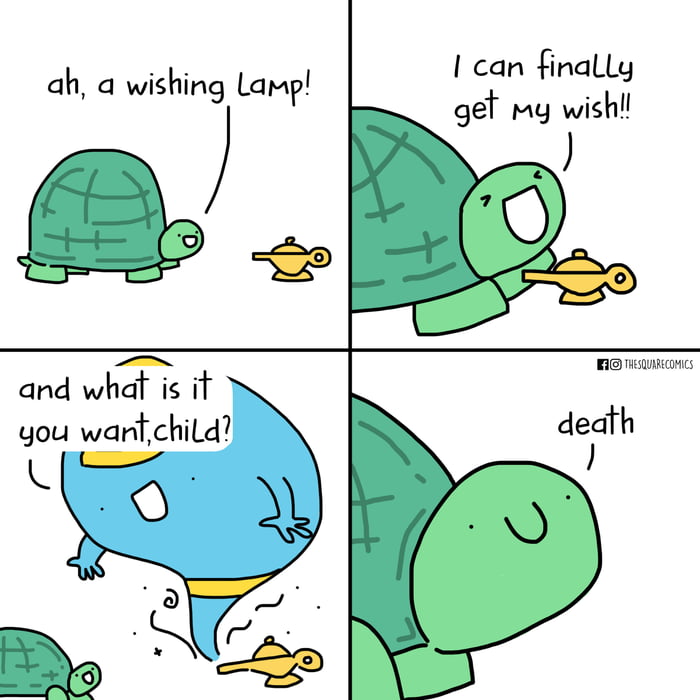 Turtle Wish - 9GAG