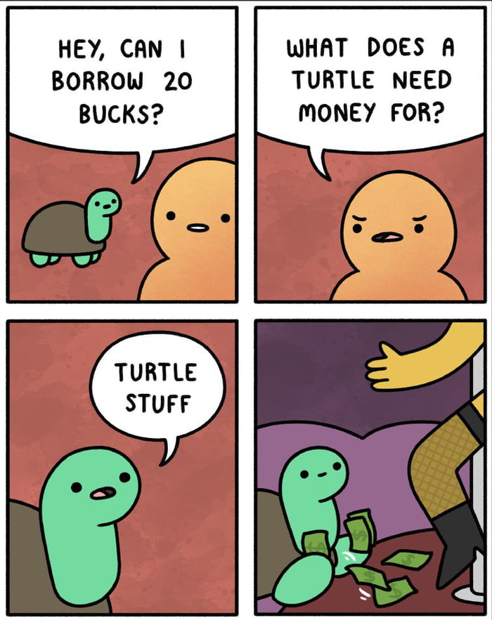 Turtle stuff - 9GAG