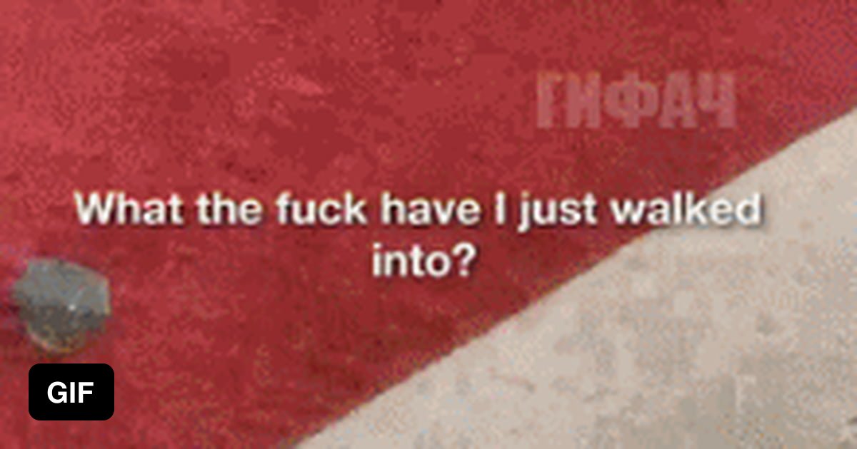 Spaghetti cat - 9GAG