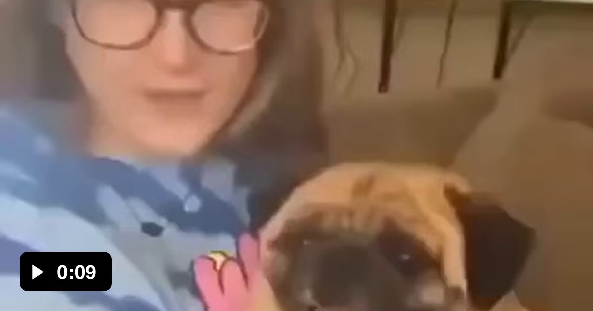 Overly Dramatic Doggo - 9GAG