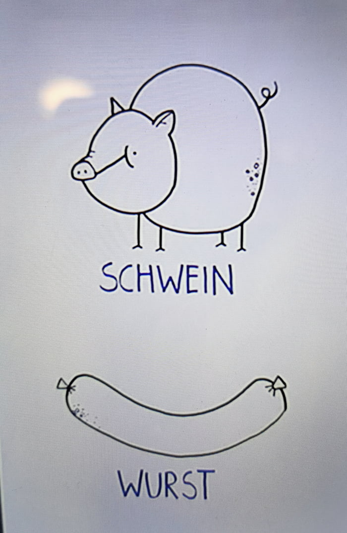What is the opposite of pig? in the case of a pig, the pig is still ...