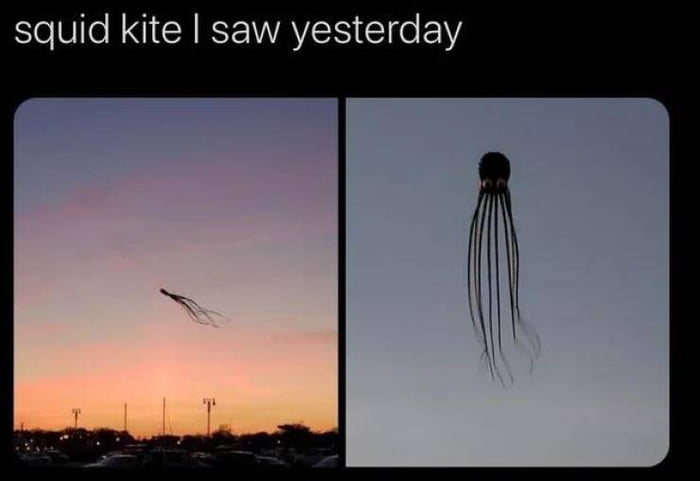 Squid Kite - 9GAG