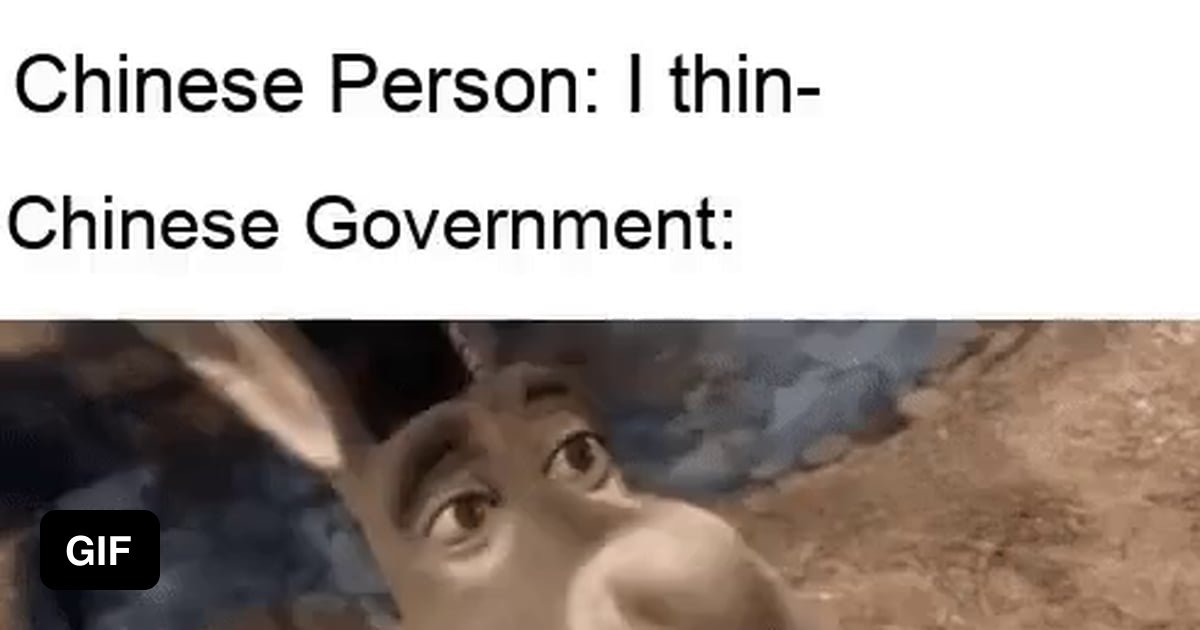 - 1000 Social Credits for having a critical mind - 9GAG