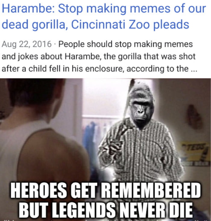 Harambe Will never die - 9GAG
