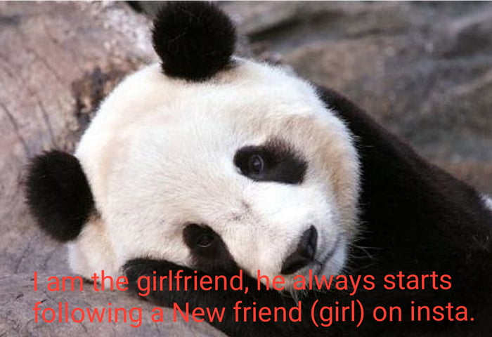 We've already talked, he knows It makes me Very Sad and continues - 9GAG