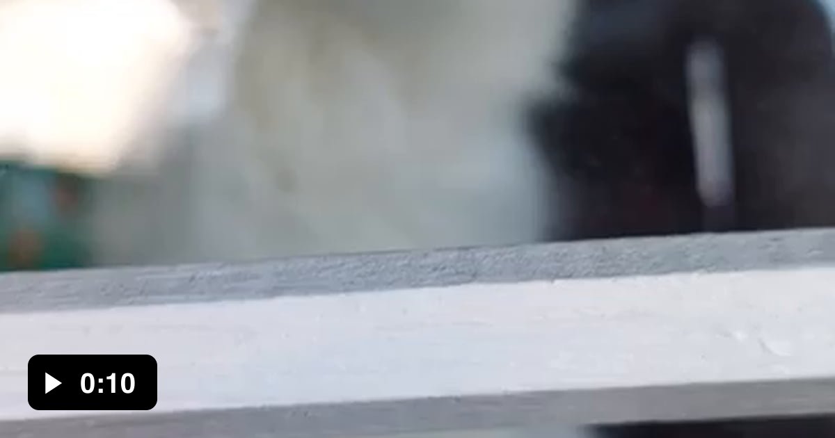 Frøya tippy tapping the window - 9GAG